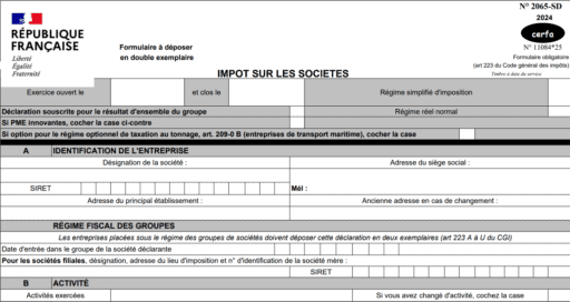 Cerfa 2065 | Comment Effectuer sa Déclaration 2065