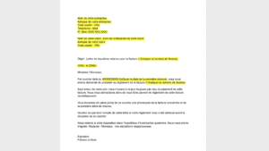 Lettre de relance facture impayée (2ème relance) : Modèle Gratuit